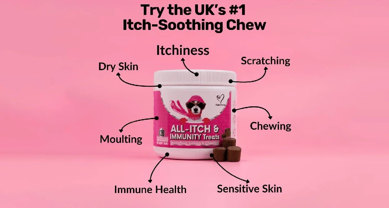 NutriPaw Dog Supplements UK Calming and Digestive