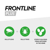 Frontline Plus Flea & Tick for Cats & Ferrets – BestPet Uk